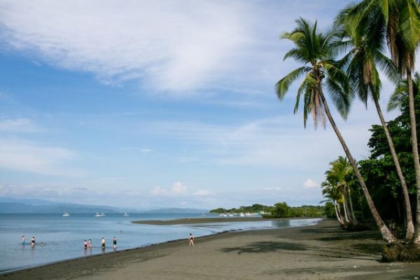Puerto Jiménez: Where The Jungle Is Your Backyard
