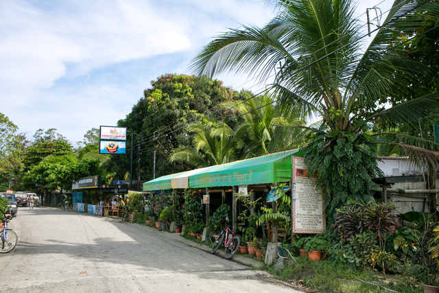 Puerto Jiménez: Where The Jungle Is Your Backyard