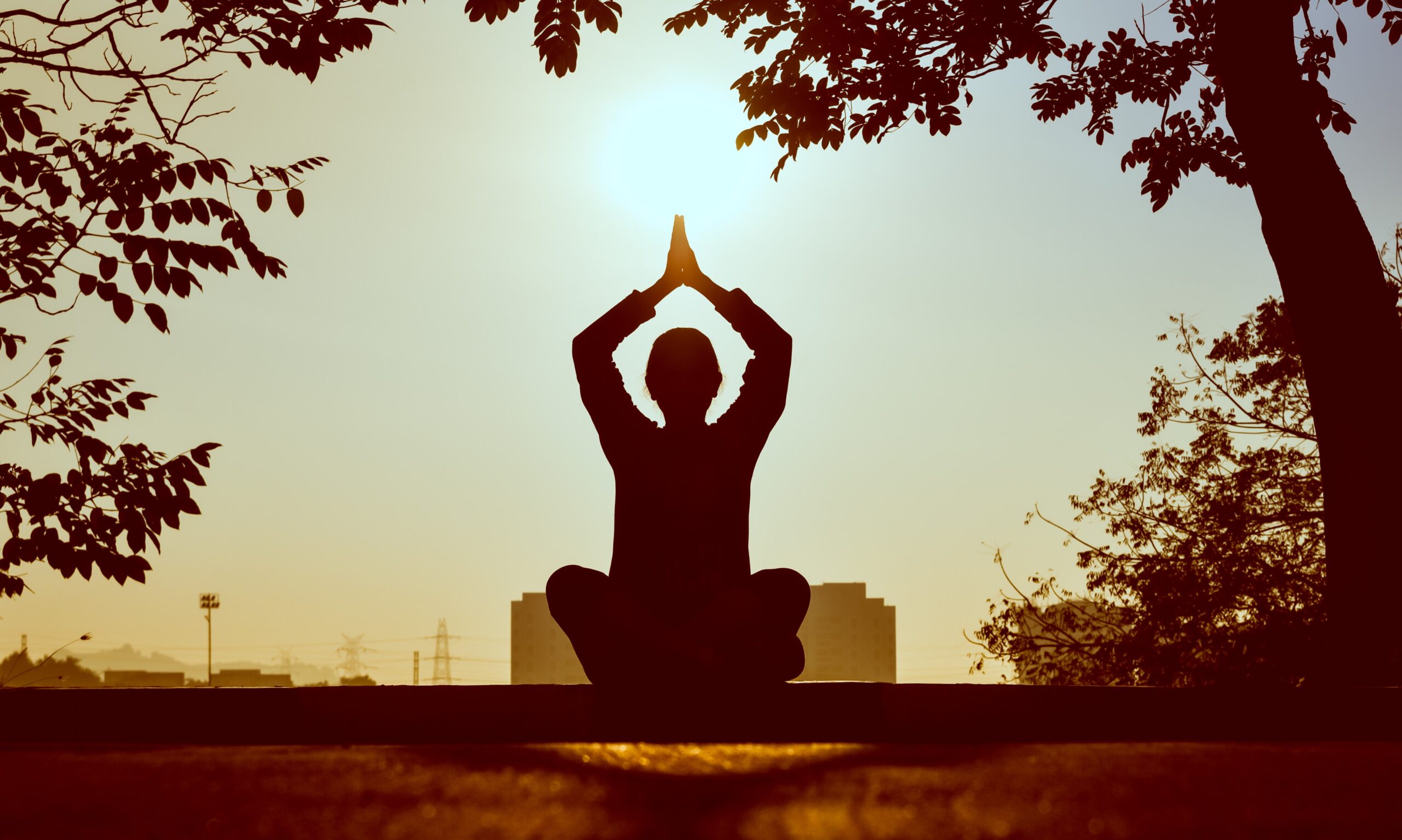 The 4 Aspects of the Yogi Mind - Blue Osa Yoga Retreat + Spa