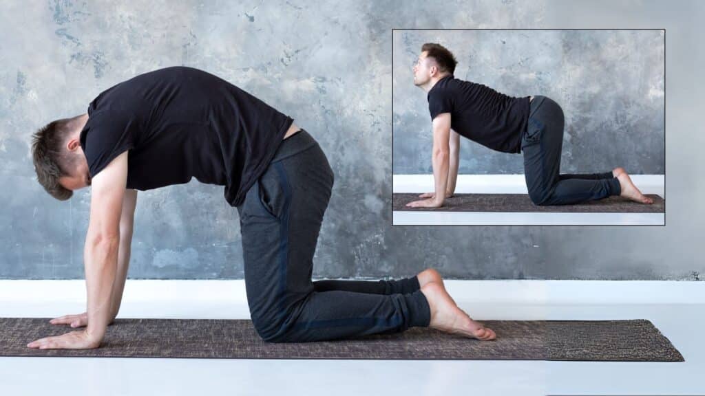 A Beginner’s Guide to Gut Health: Yoga, Breathwork & Nutrition: