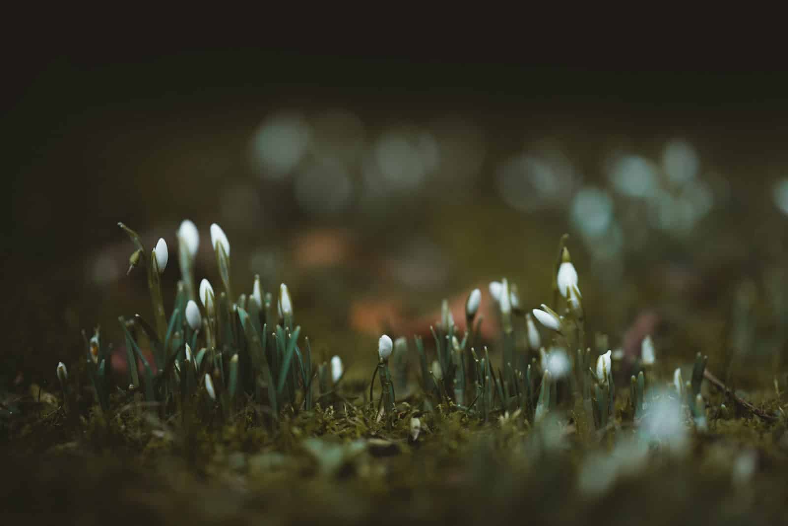 A New Beginning: The Beauty of Endings